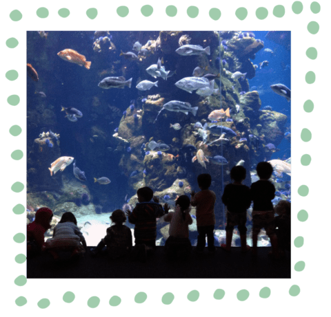 Landing Page - Les Petits Canards, French Immersion Preschool/Ecole ...